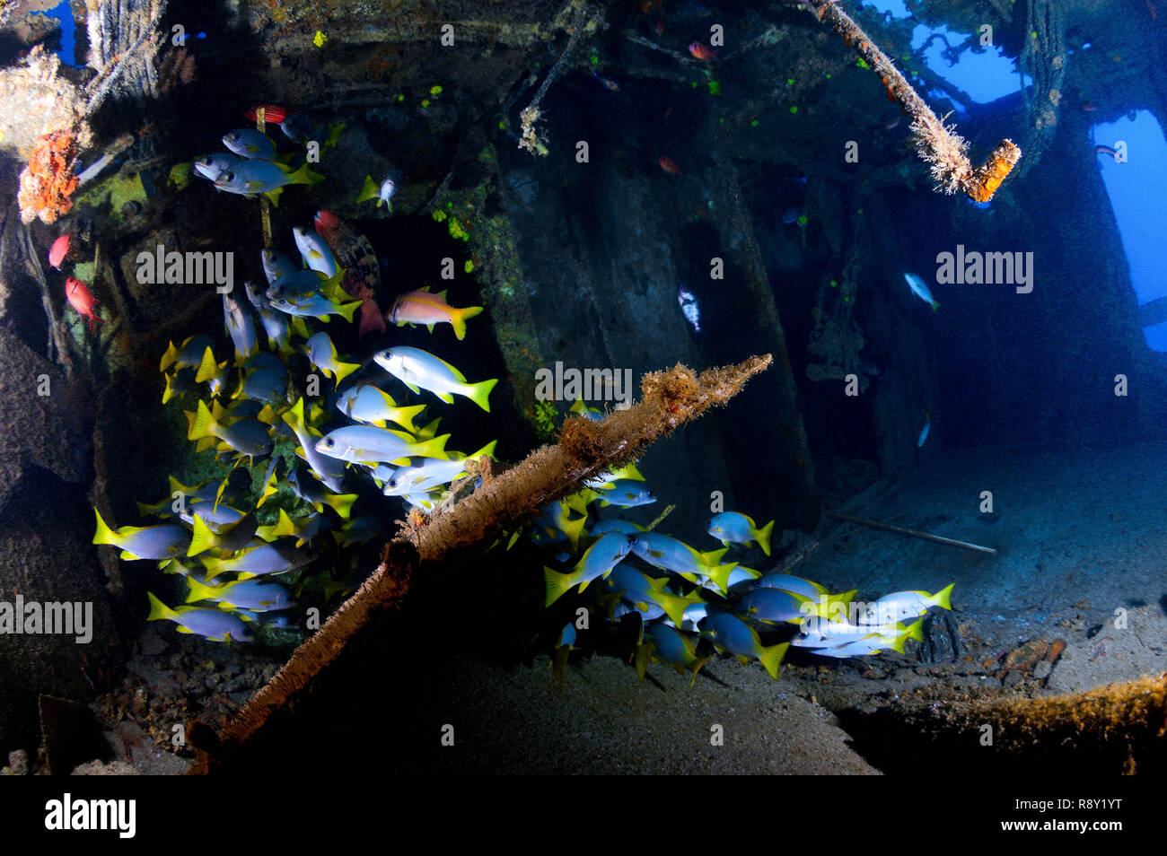 Kwarcit wreck hi-res stock photography and images - Alamy