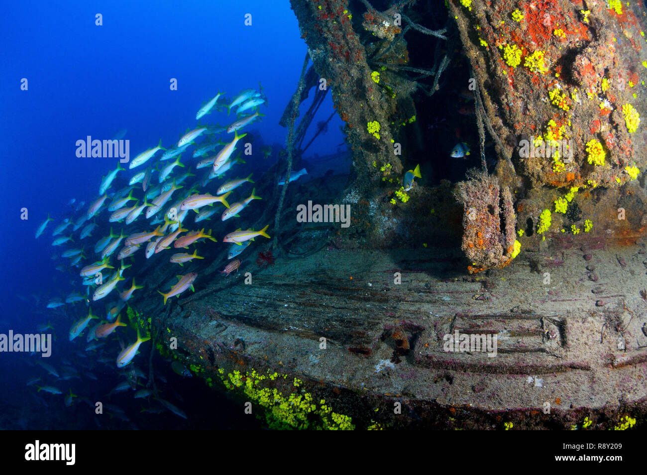 Kwarcit wreck hi-res stock photography and images - Alamy