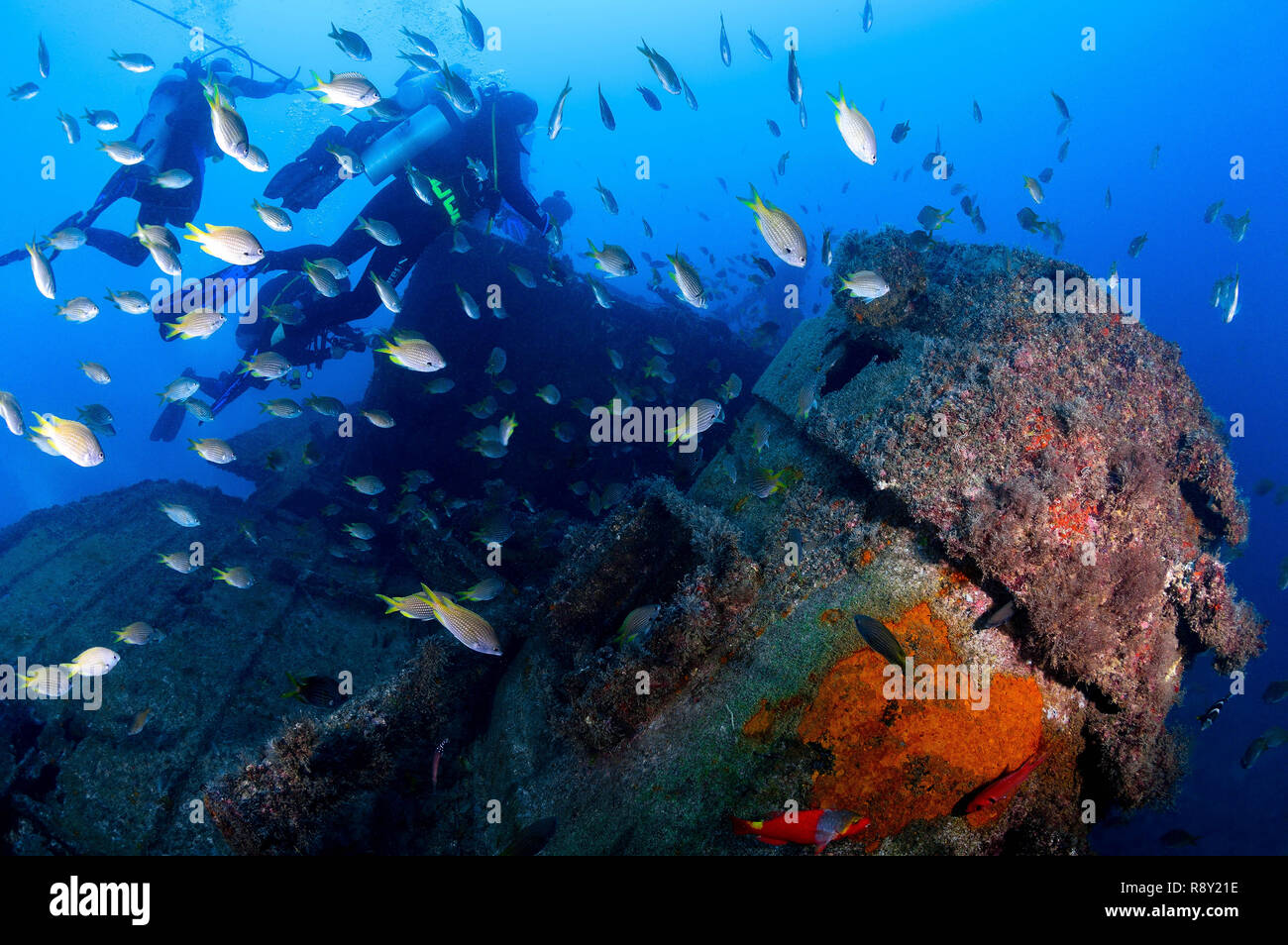 Kwarcit wreck hi-res stock photography and images - Alamy