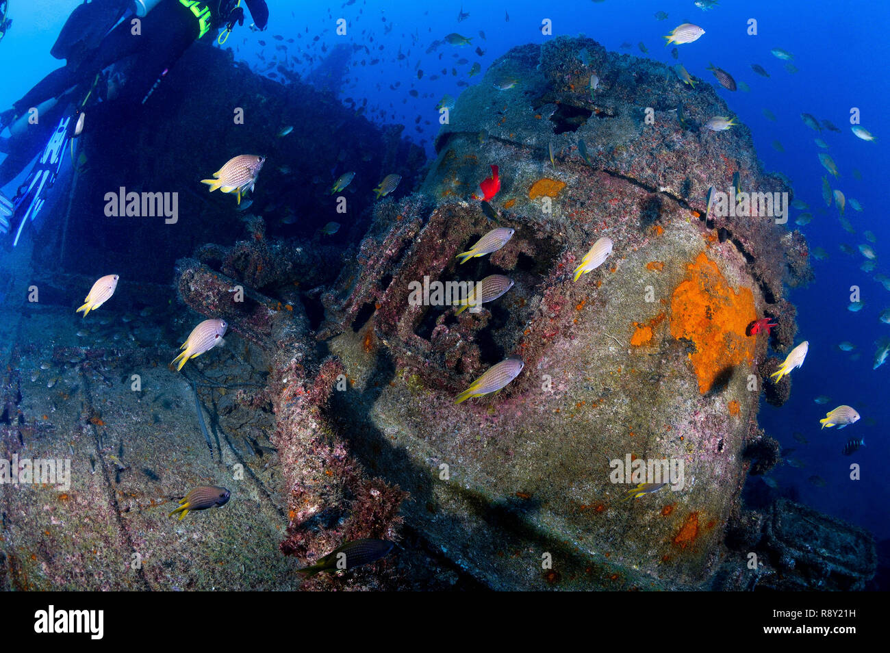 Kwarcit wreck hi-res stock photography and images - Alamy