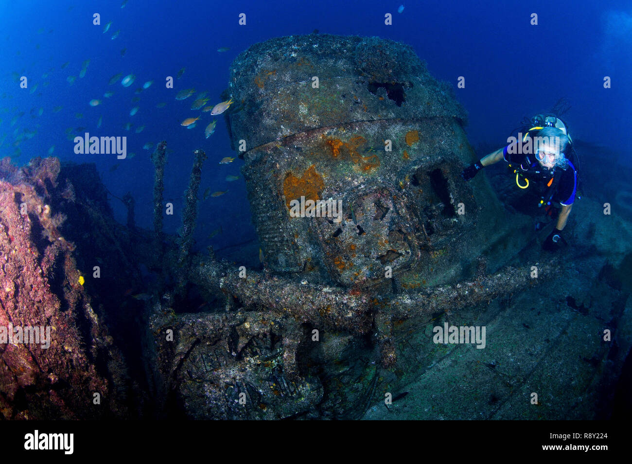 Cabo verde underwater hi-res stock photography and images - Alamy