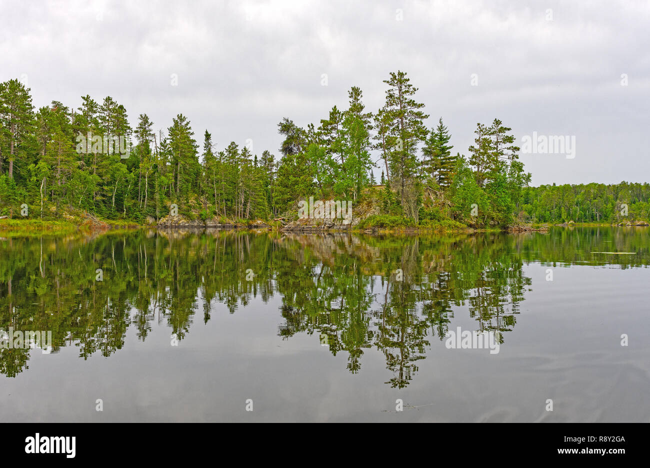 Green Reflections on a Calm Lake Saganaga in the Boundary Waters in ...