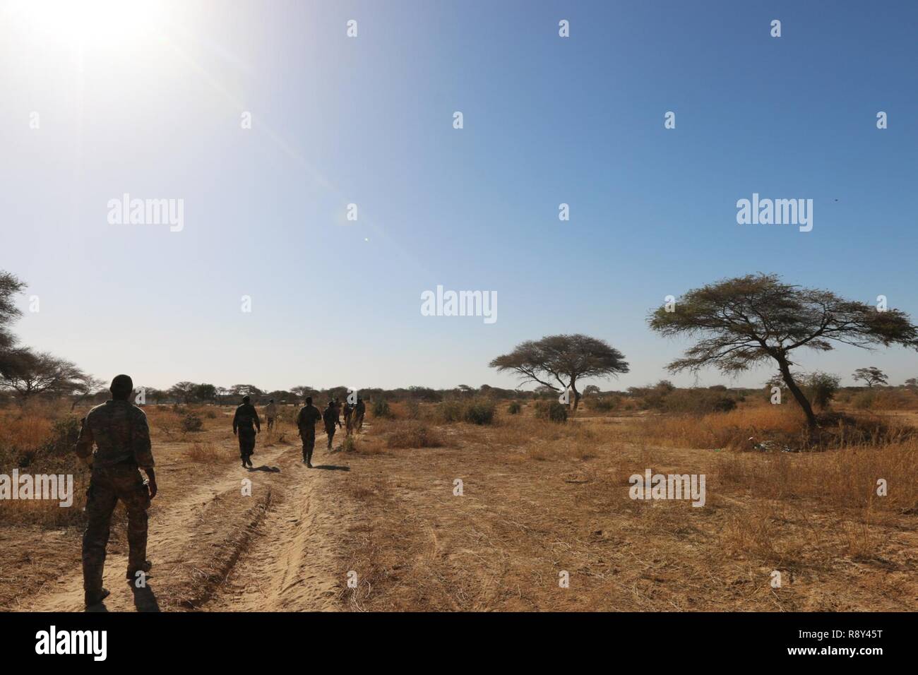 3rd special forces group airborne hi-res stock photography and images ...