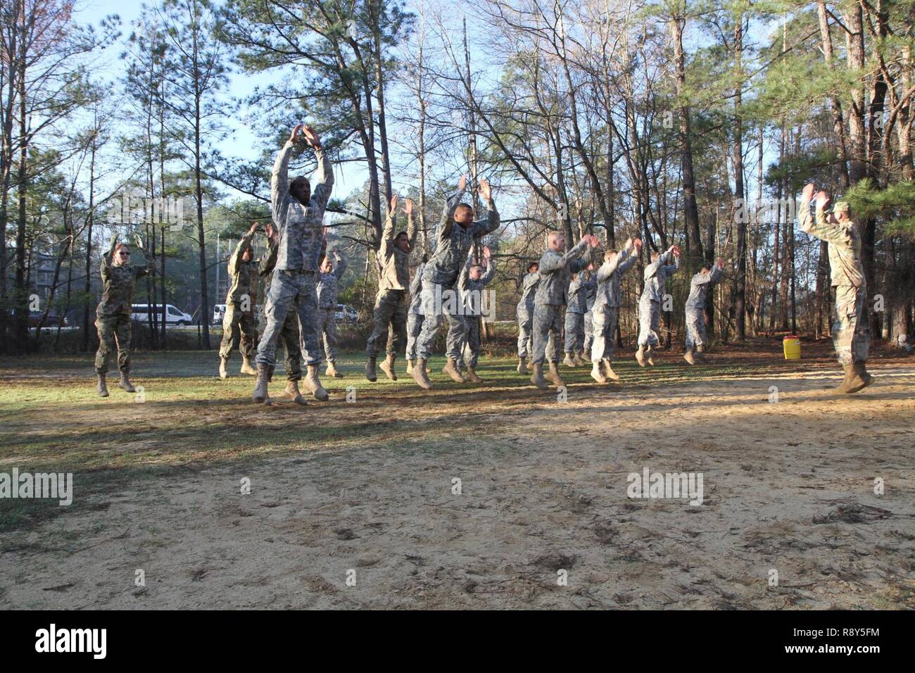 Command Sergeant Major of the 3rd Medical Command Deployment Support in ...