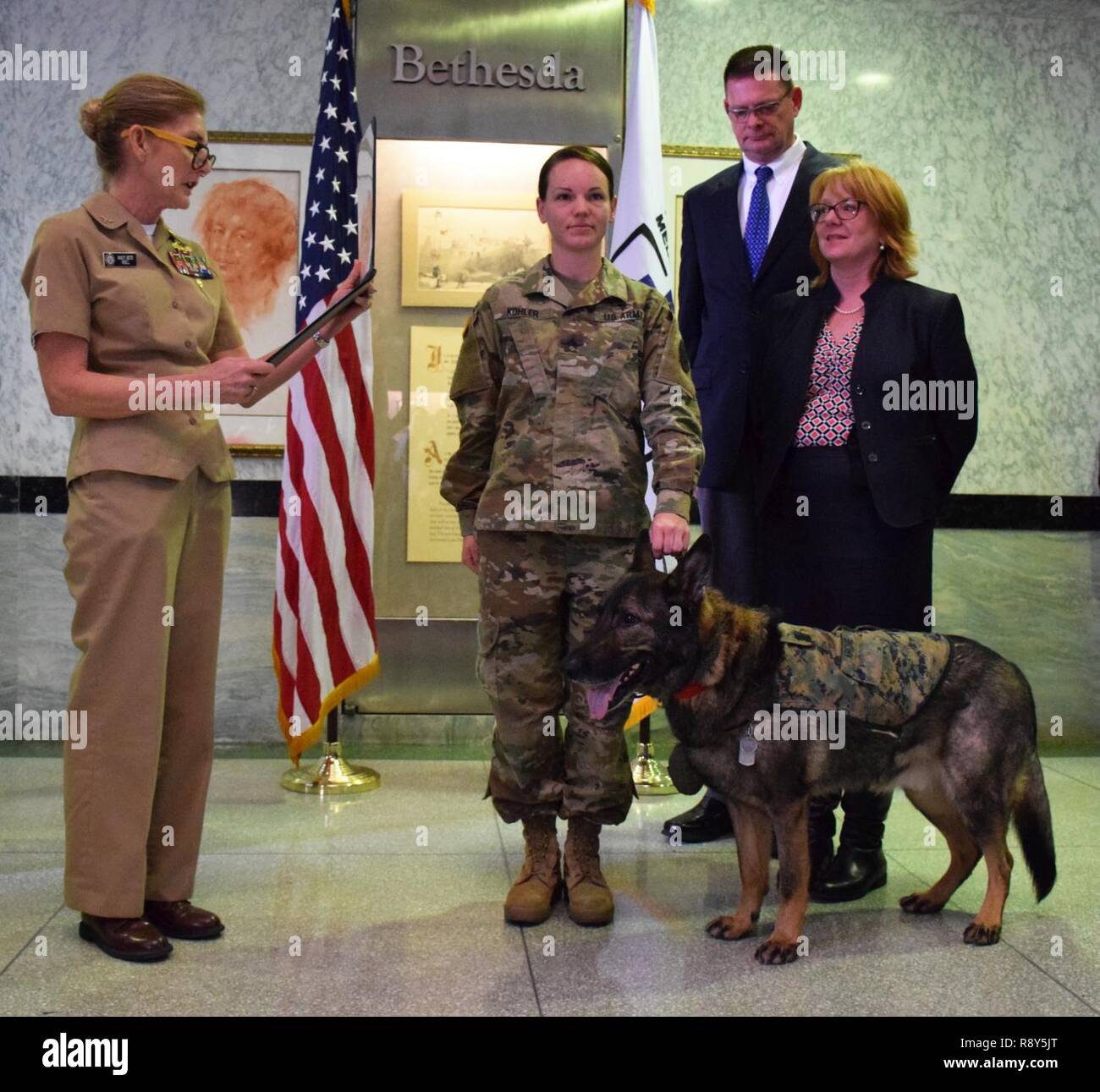 Archie Dillon O'Connor, a therapy dog at the Walter Reed National ...