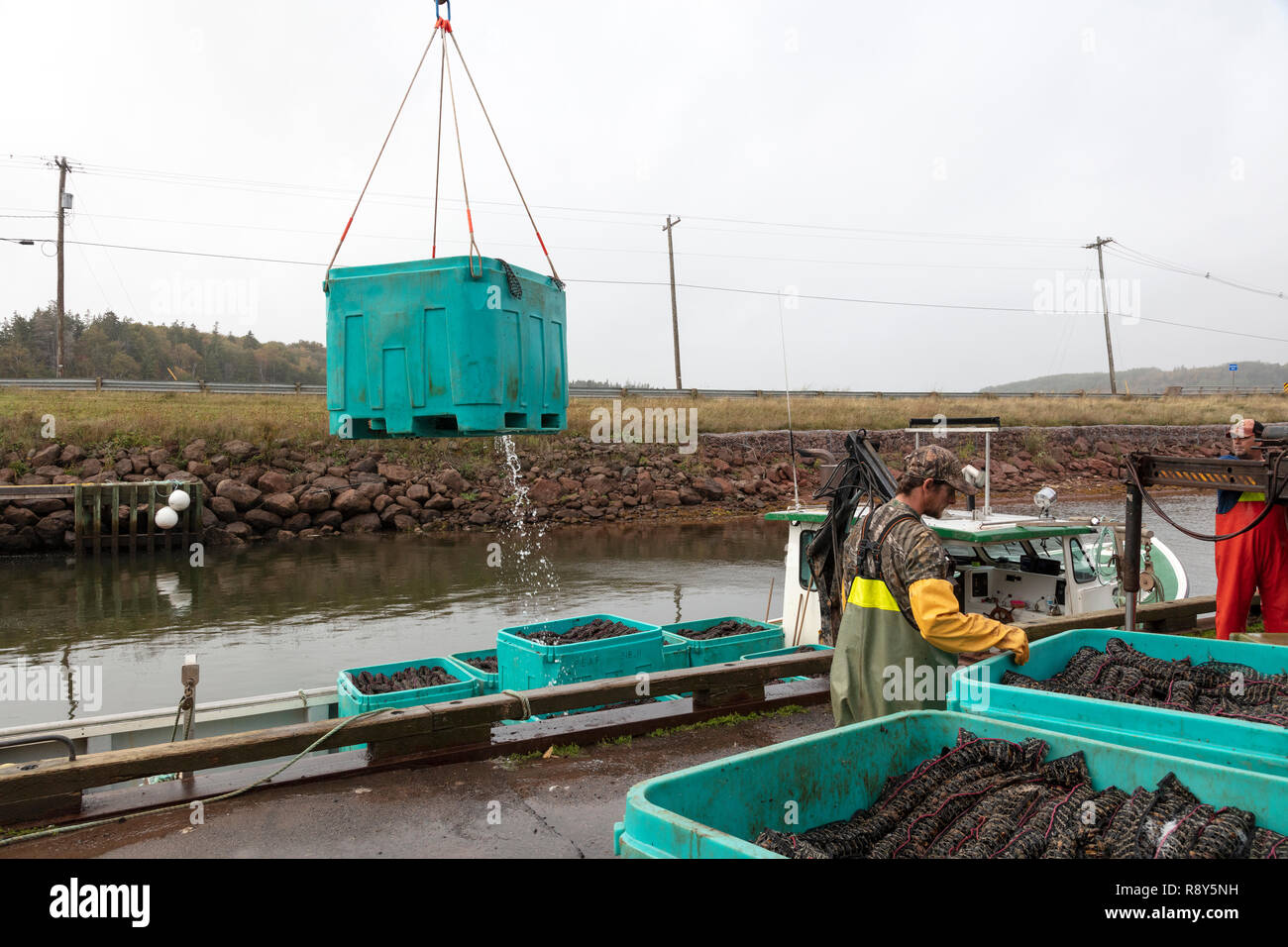 Mussel farming, Prince Edward Island, Canada, by James D. Coppinger ...