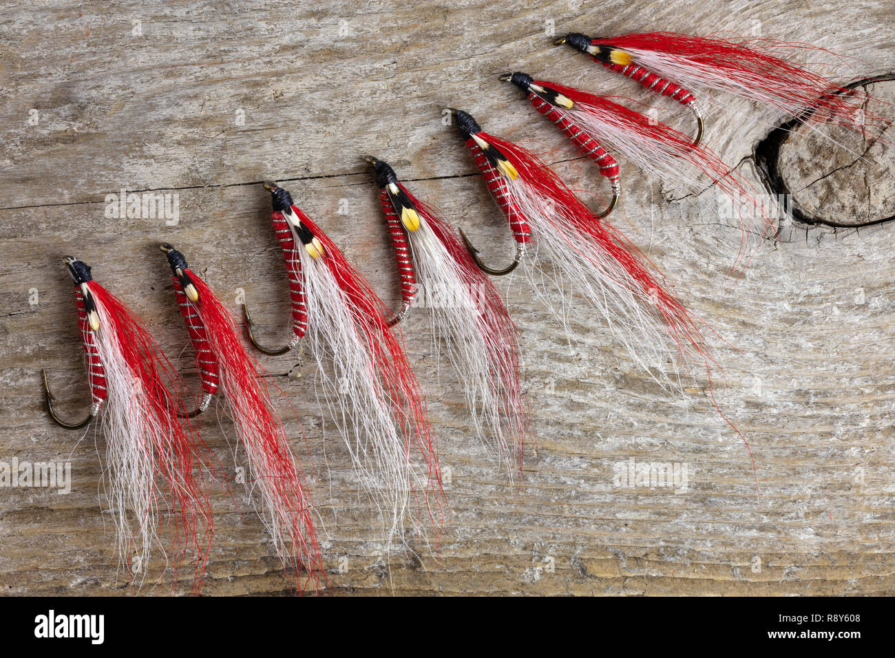 Hand tied Red Streamers, by James D Coppinger/Dembinsky Photo Assoc ...