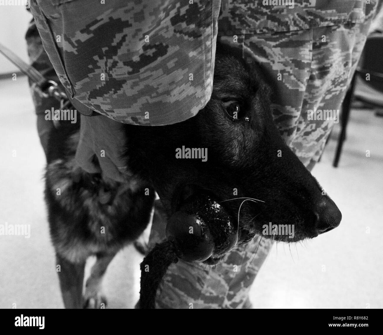 U.S. Air Force Lt. Col. Walter Sorensen, Joint Base Security, JB2 ...