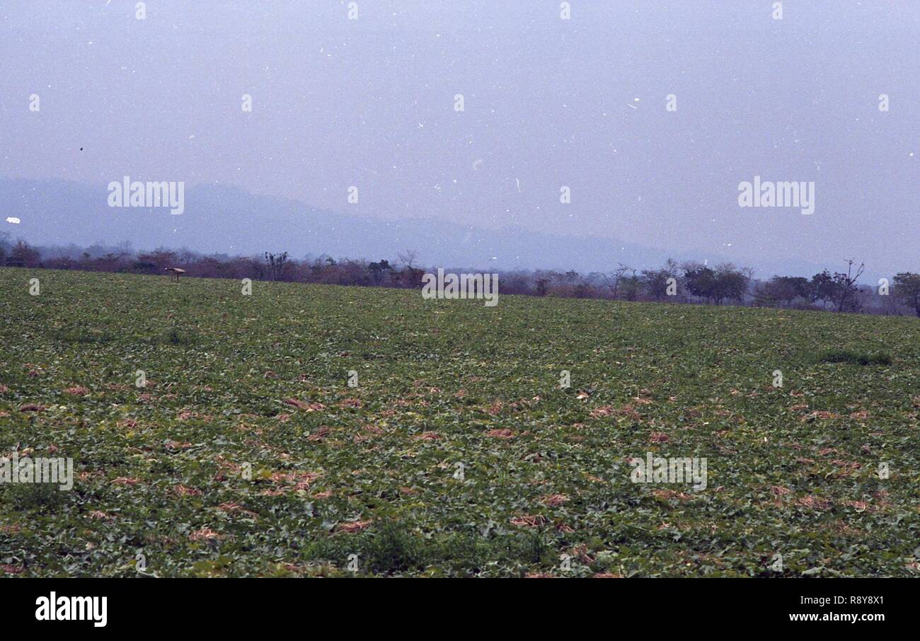 picture of land Stock Photo - Alamy