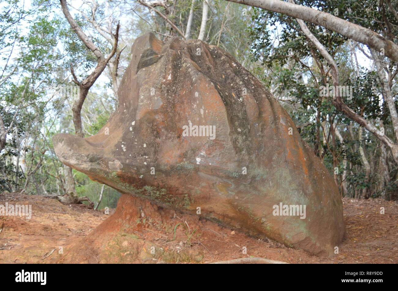 SCHOFIELD BARRACKS — The "beheading stone" on the Kolekole Walking Path ...