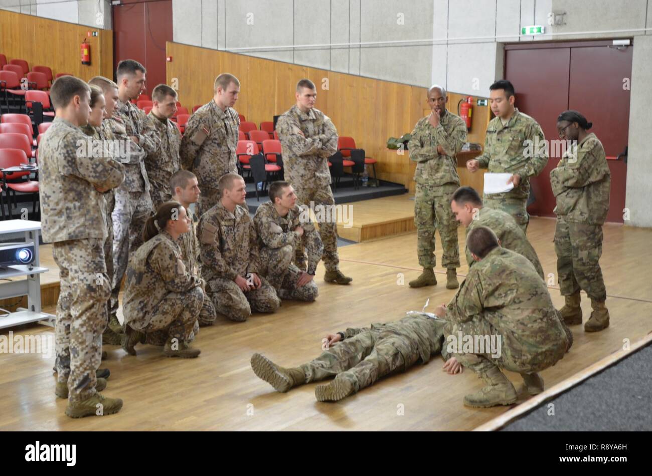 Aggression And Defense Course High Resolution Stock Photography and ...