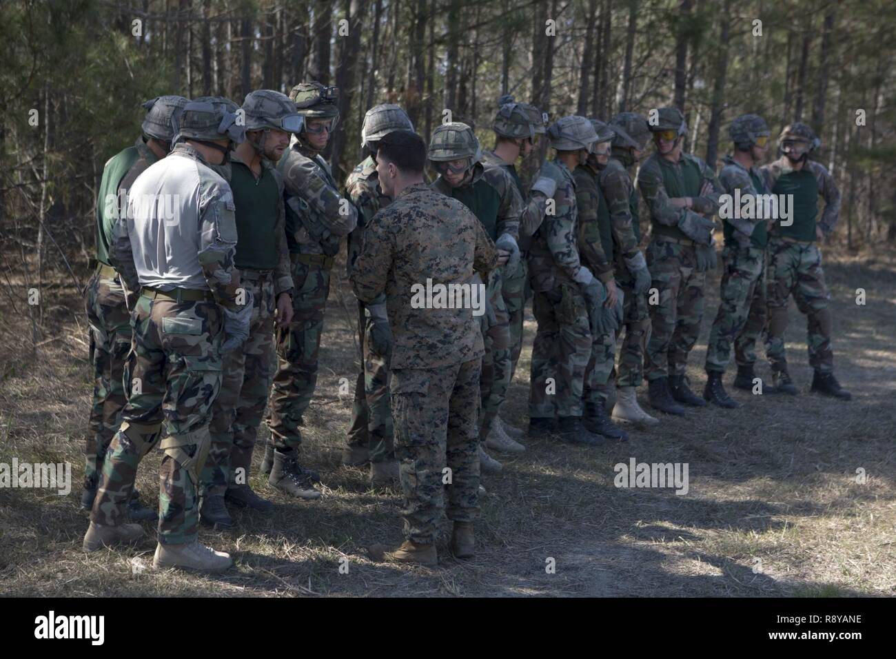 Royal Dutch Marines go over fast roping techniques before boarding into ...