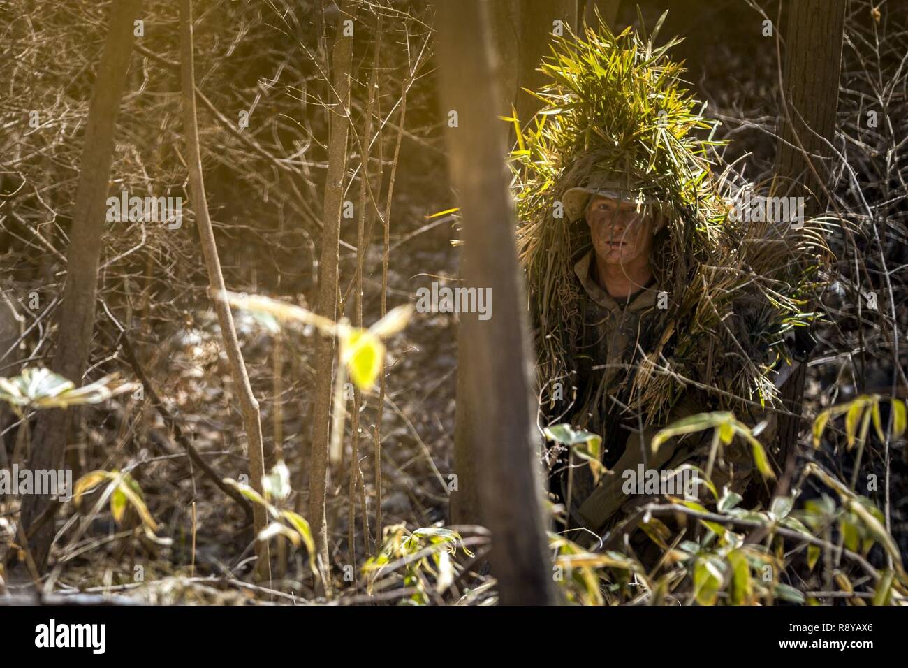 Marine corps scout sniper school hi-res stock photography and images ...