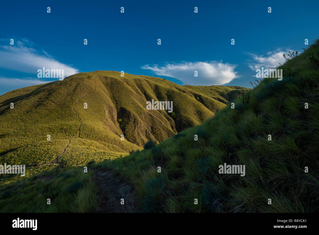 Sunny Morning in Gili Lawa, Komodo island Stock Photo - Alamy
