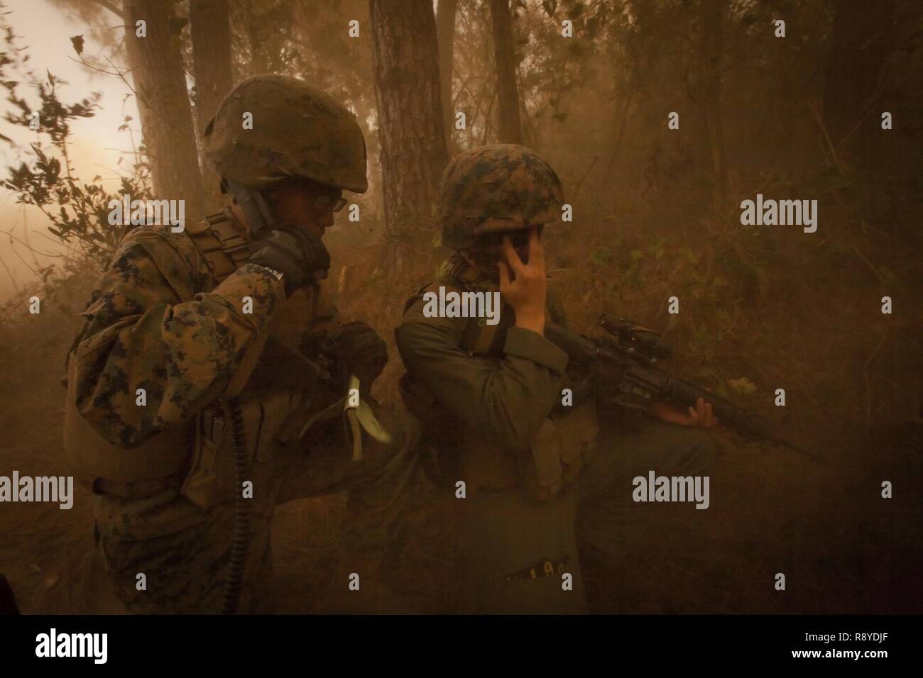 Mwss 274 hi-res stock photography and images - Alamy