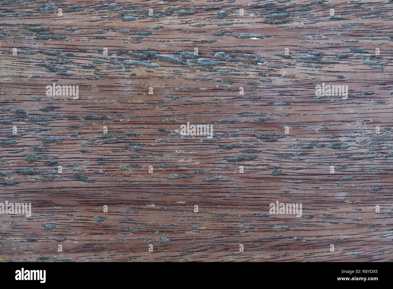 Texture of wood. old weathered wood texture background Stock Photo - Alamy