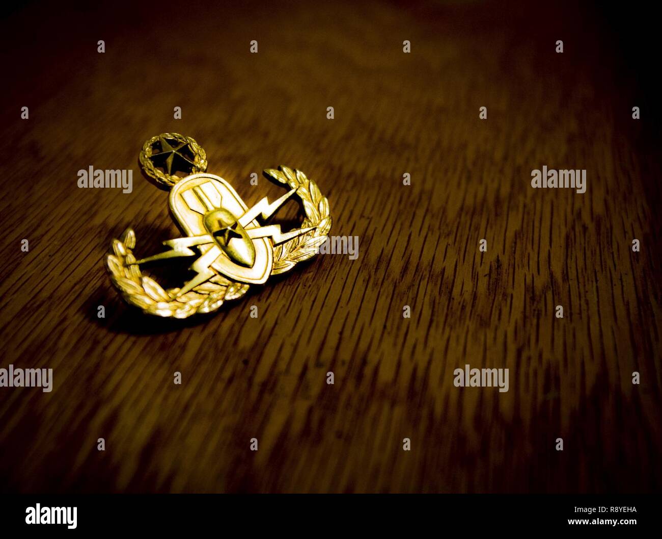 The Gold Master Explosive Ordnance Disposal (EOD) Badge presented to ...