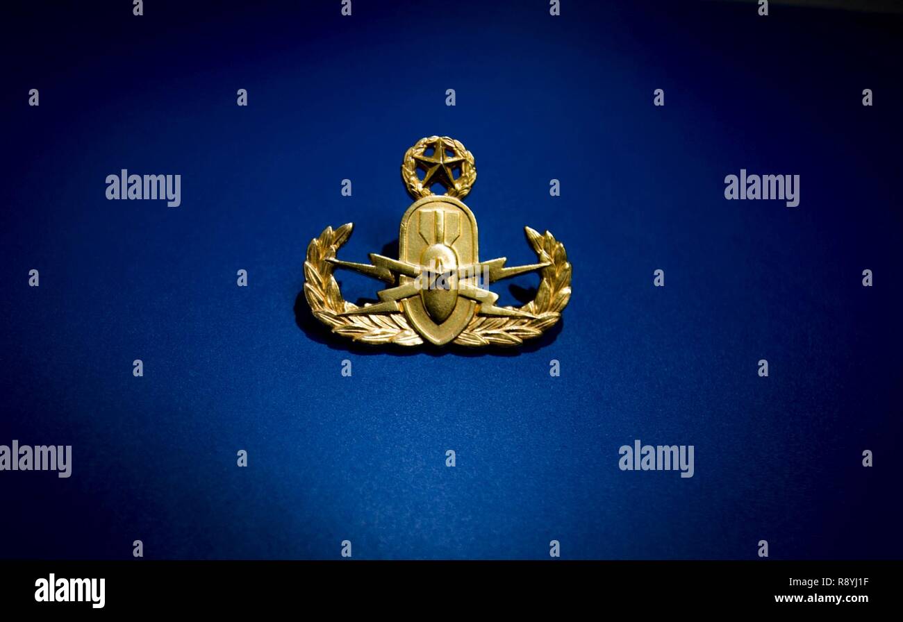 The Gold Master Explosive Ordnance Disposal (EOD) Badge presented to ...
