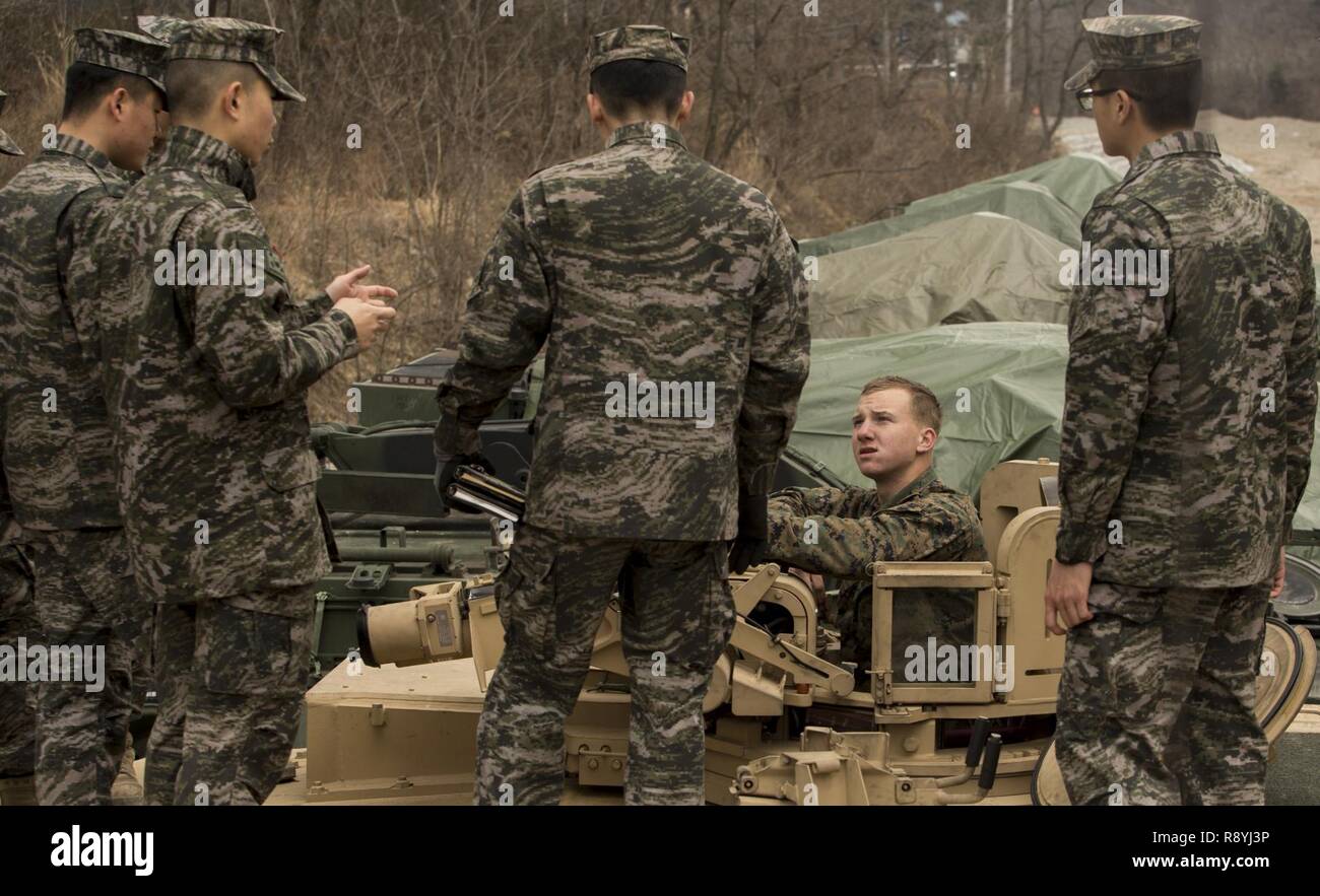 U S Marine Lance Cpl Willis High Resolution Stock Photography and ...