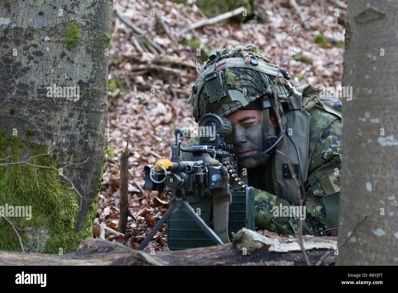 Princess patricia canadian light infantry hi-res stock photography and ...