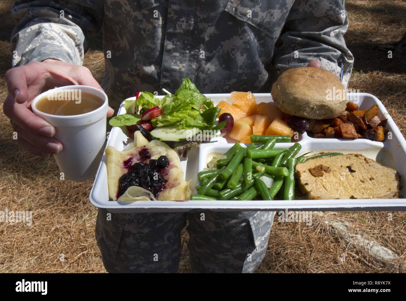 The full meal, created by the culinary team of the 391st Military ...
