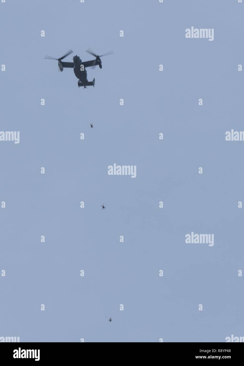 Method of insertion hi-res stock photography and images - Alamy