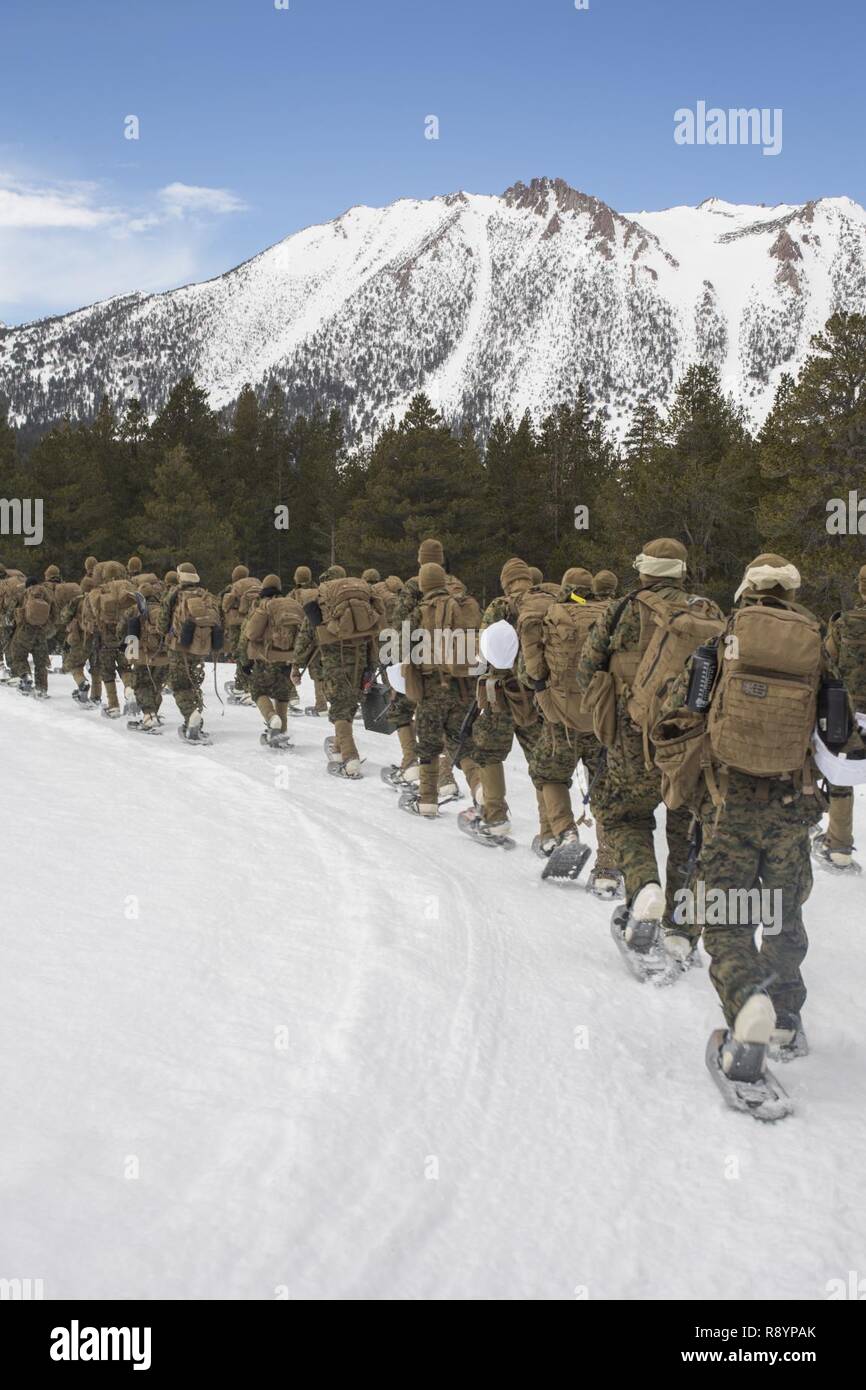 U.S. Marines with 1st Combat Engineer Battalion (CEB), 1st Marine ...