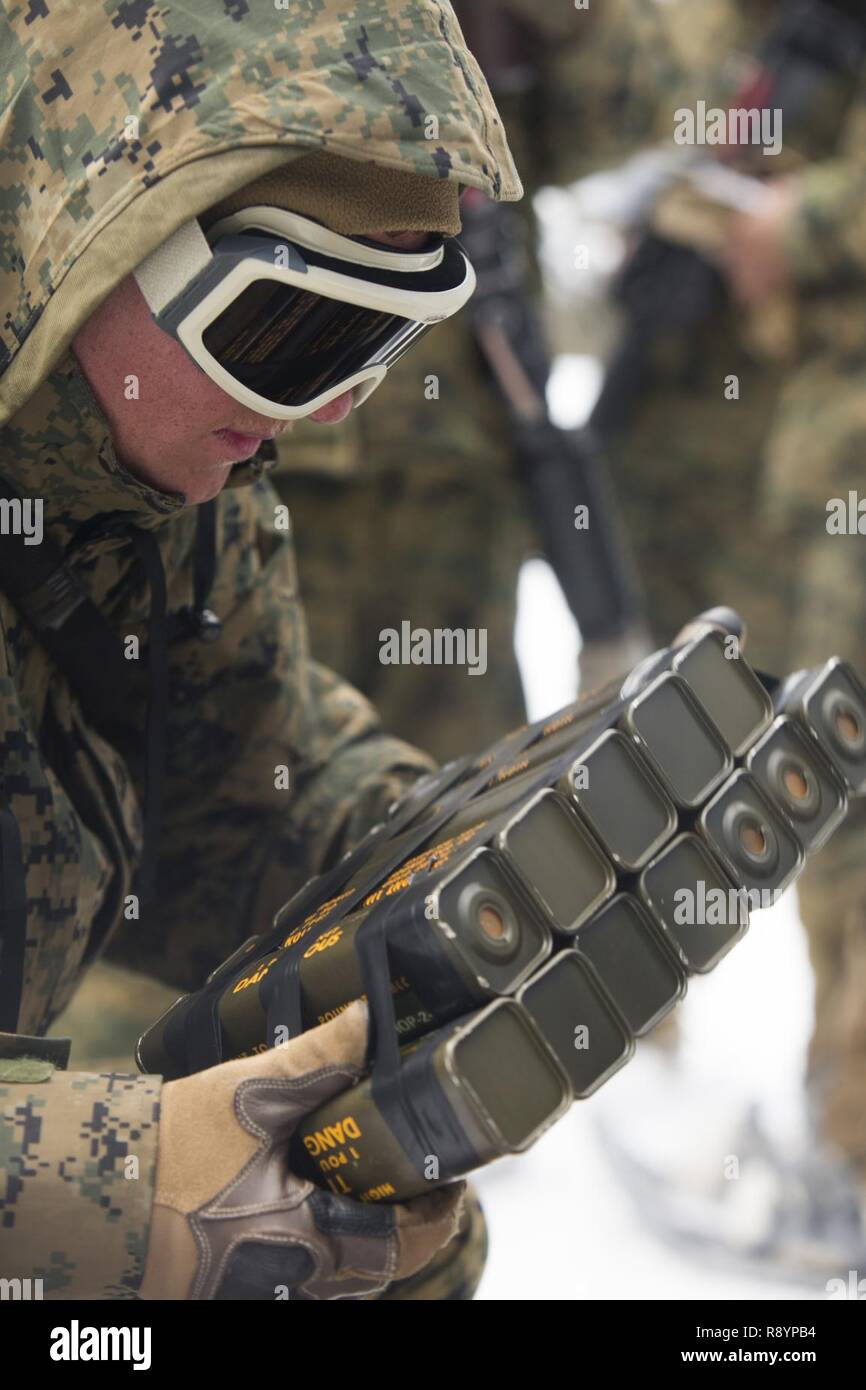 U.S. Marine Corps Lance Cpl. Joseph Walter, field radio operator ...