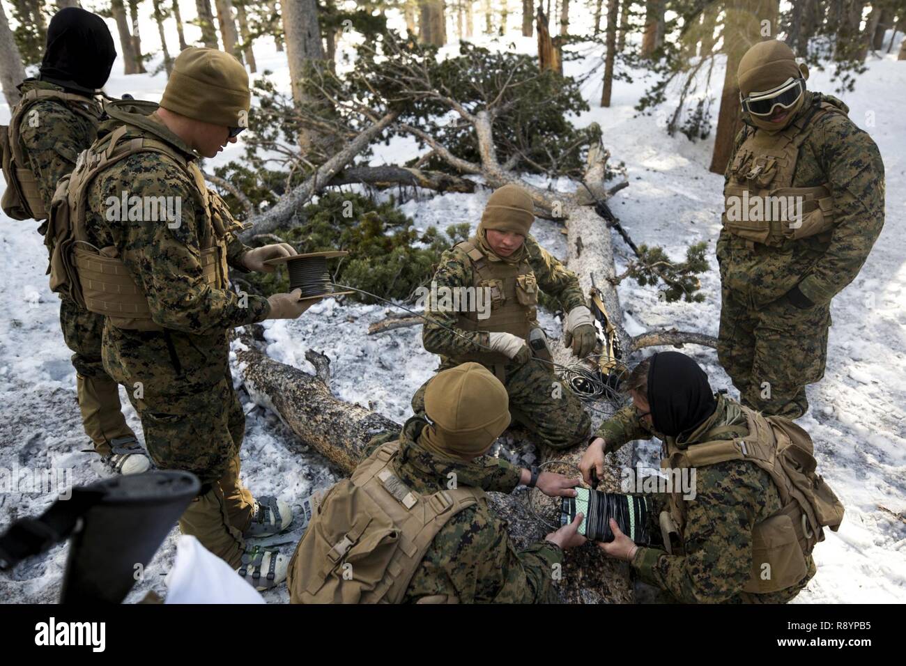 U.S. Marines with Alpha and Headquarters and Service Company, 1st ...