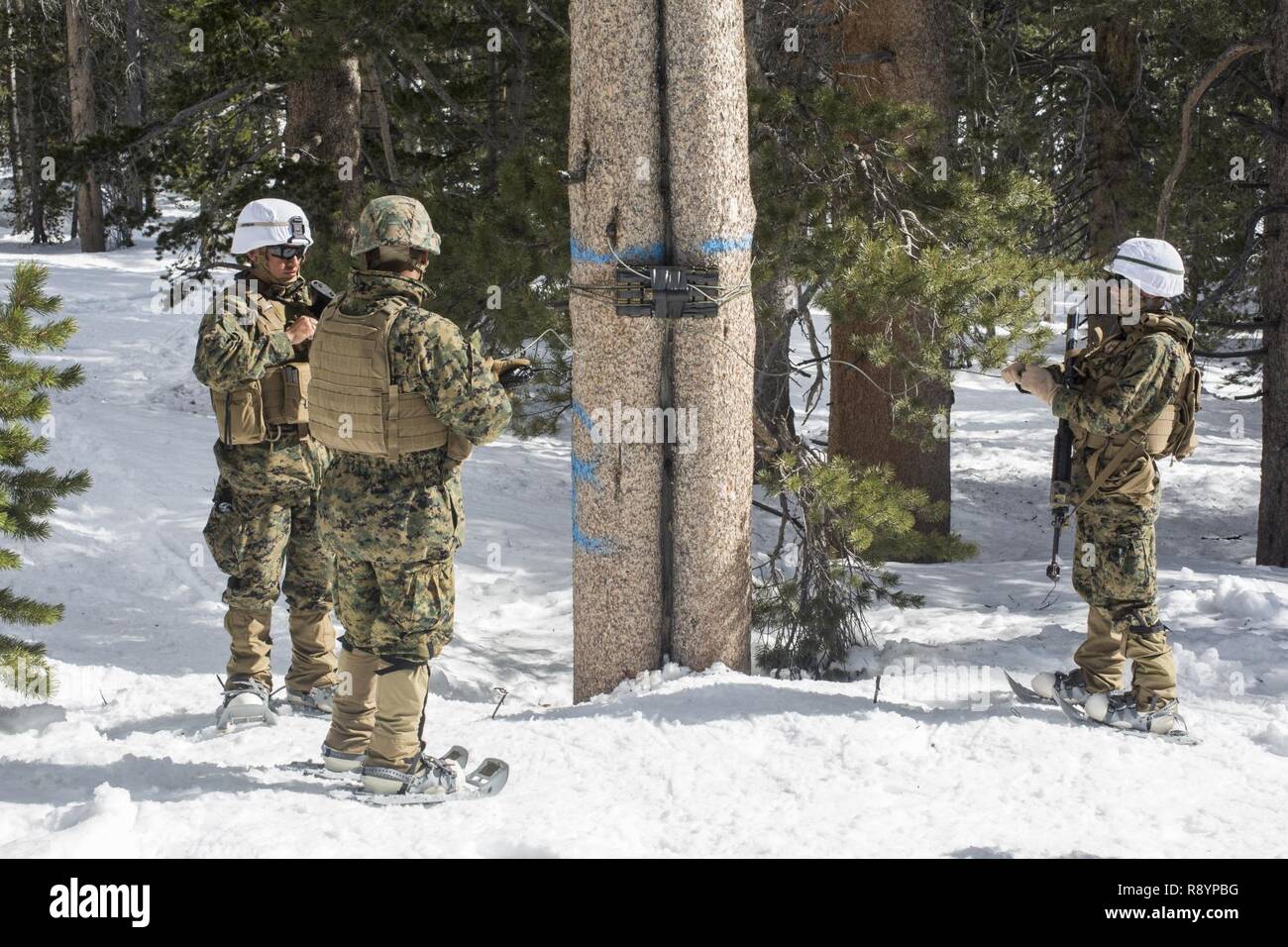 1st combat engineers battalion hi-res stock photography and images - Alamy