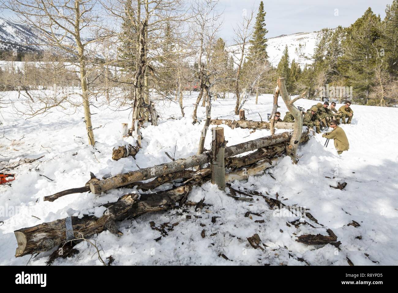 U.S. Marines with Mobility Assault Company, 1st Combat Engineer ...