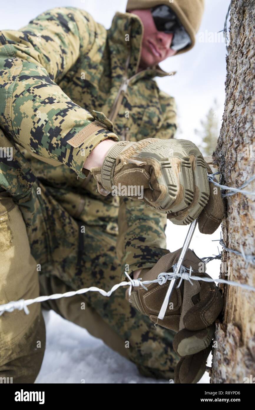 U.S. Marine Corps Lance Cpl. Joseph Walter, field radio operator ...