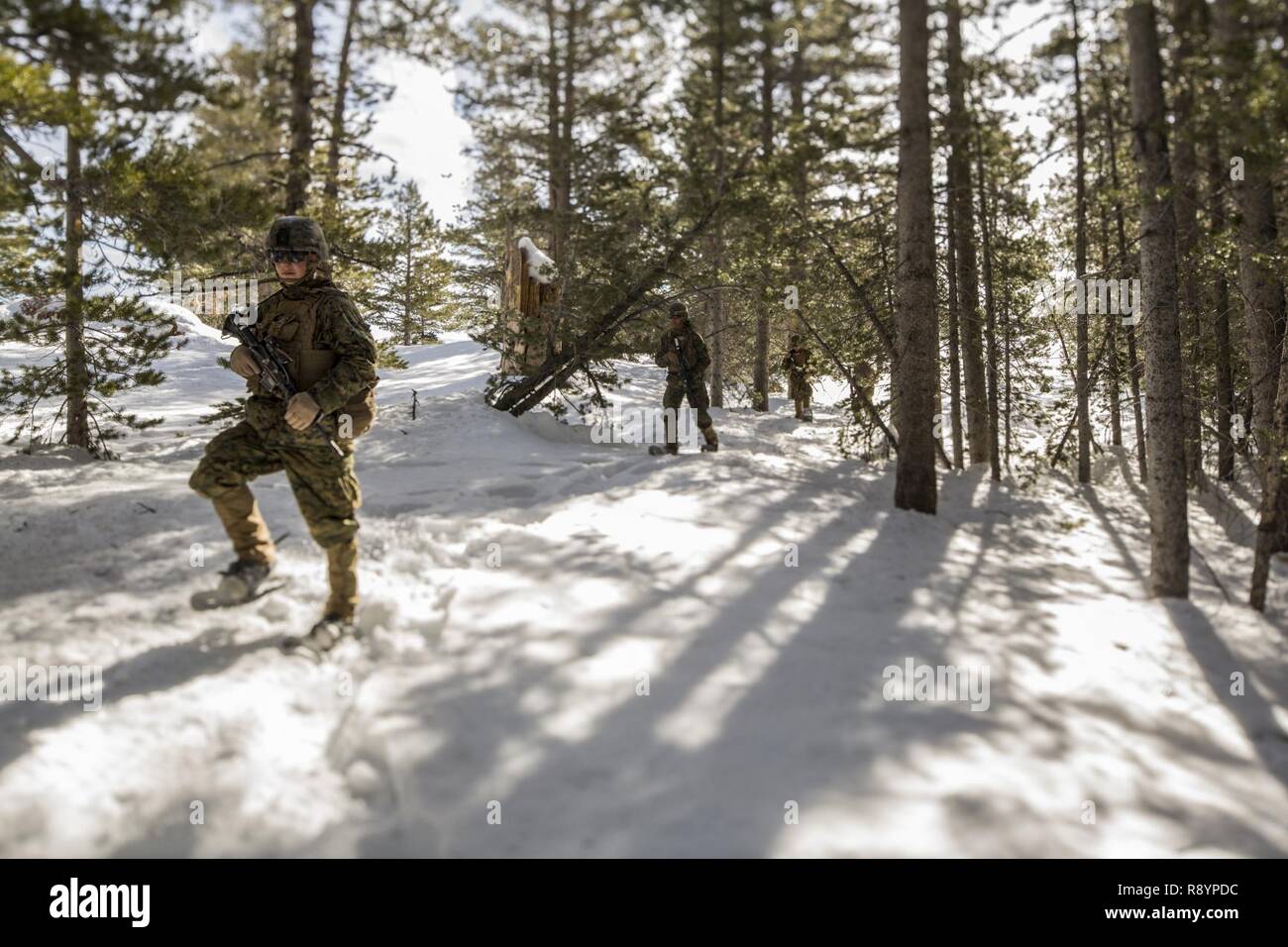 U.S. Marines with Bravo Company, 1st Combat Engineer Battalion (CEB ...