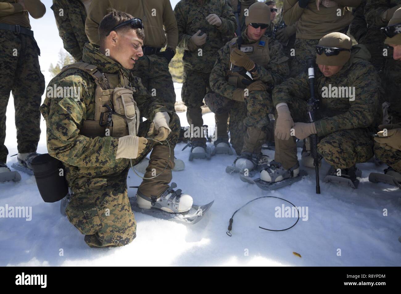 U.S. Marine Corps Cpl. Todd Clay, combat engineer, Mobility Assault ...
