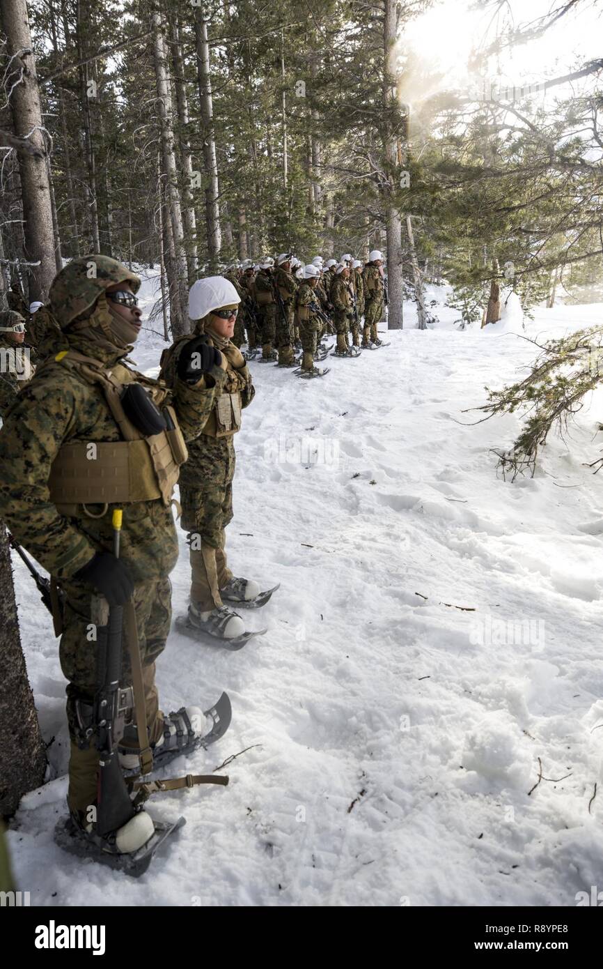 U.S. Marines with 1st Combat Engineer Battalion (CEB), 1st Marine ...