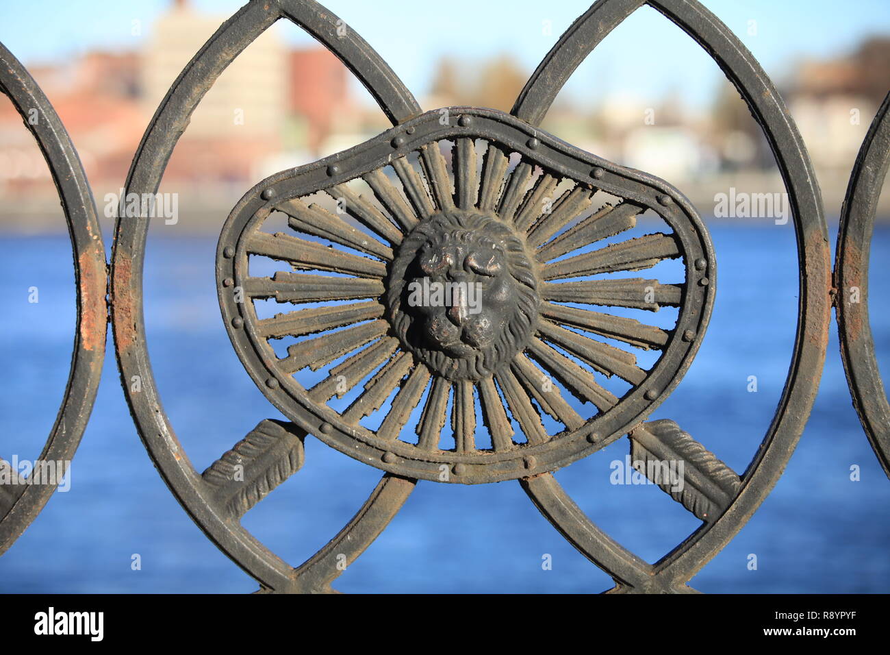 the old cast iron barelef lion head on a background of water close to ...