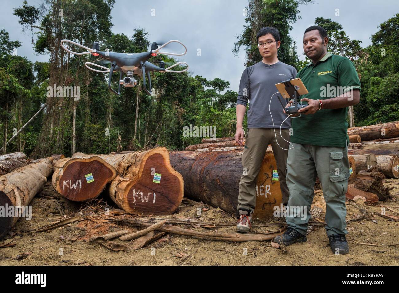 Papua-New-Guinea, Central province, Kupiano, logging area, monitoring ...