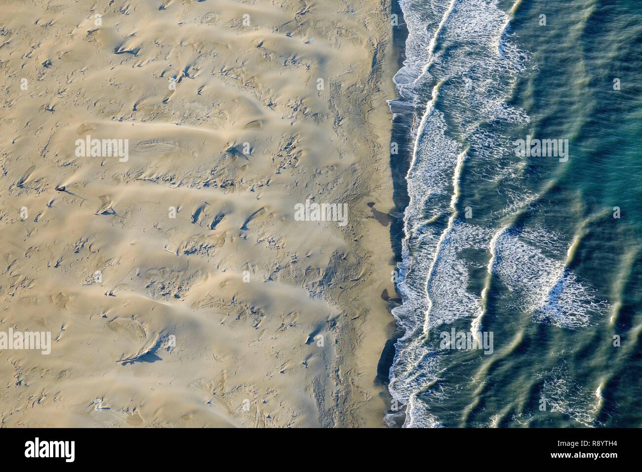 France, Bouches du Rhone, Camargue Regional Nature Park, Arles ...