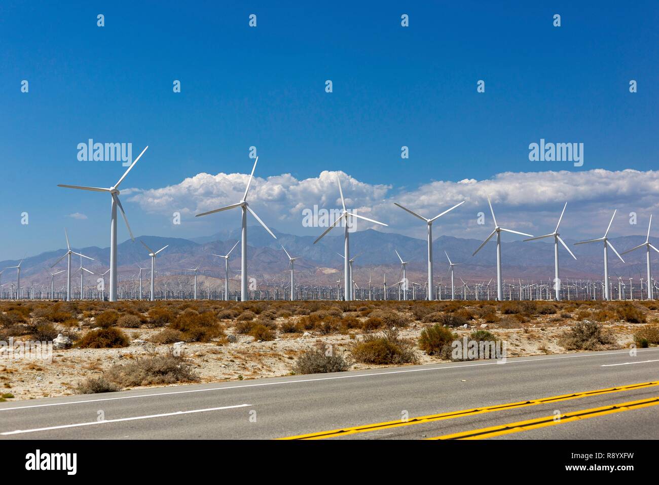 United States, California, Palm Springs wind farm in the Sonora Desert ...
