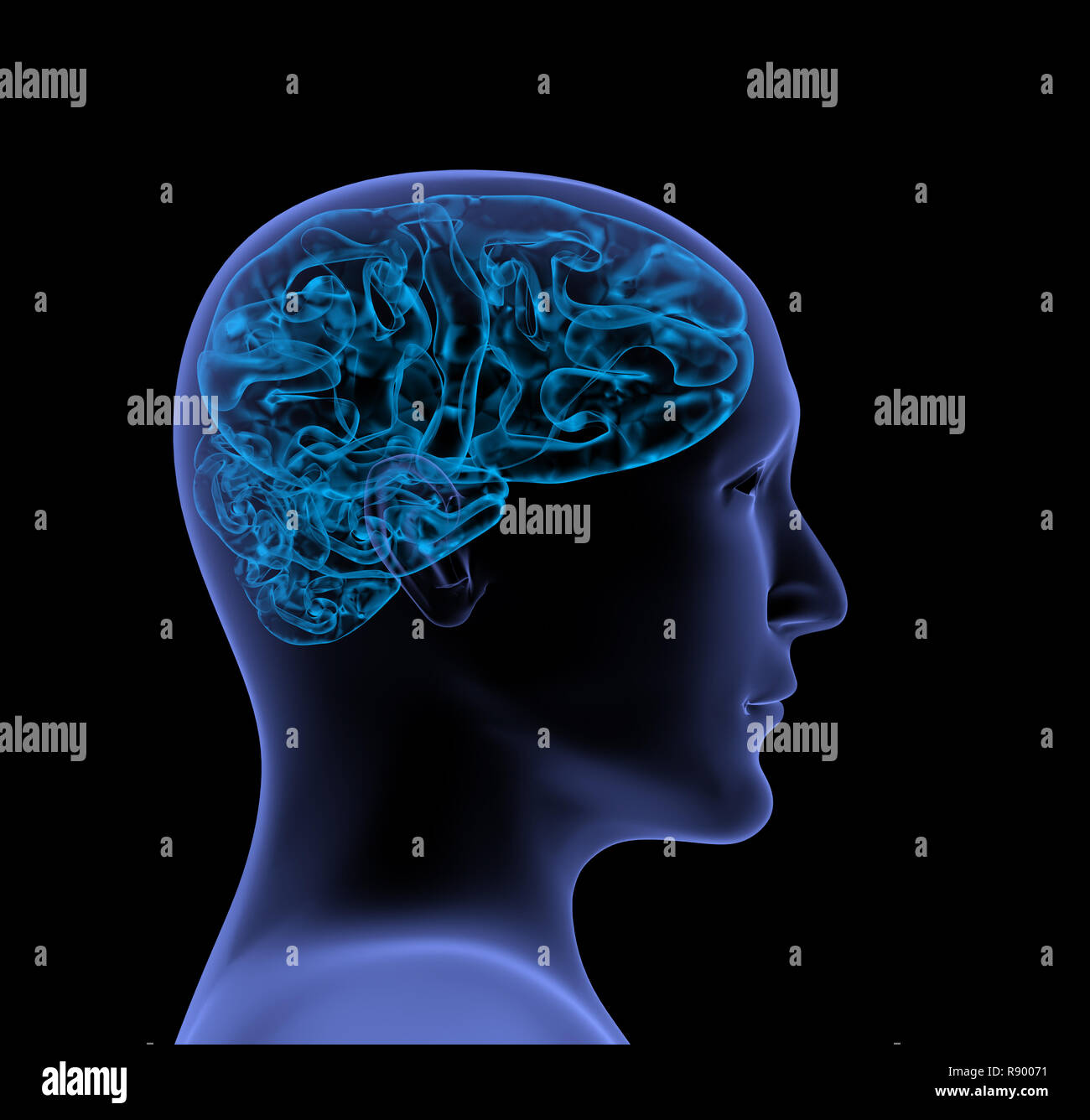 Visual perception brain hi-res stock photography and images - Alamy