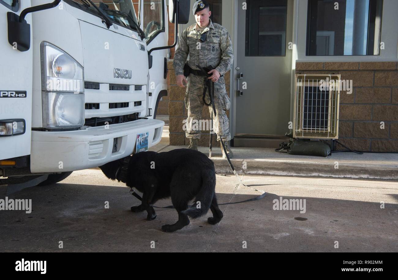 Drug detection dogs hi-res stock photography and images - Alamy