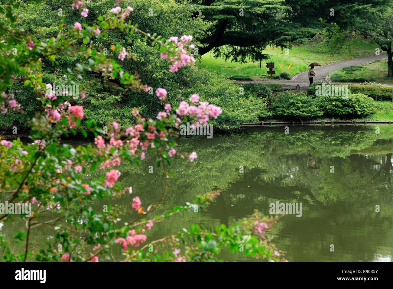 Tokyo vegetation hi-res stock photography and images - Alamy