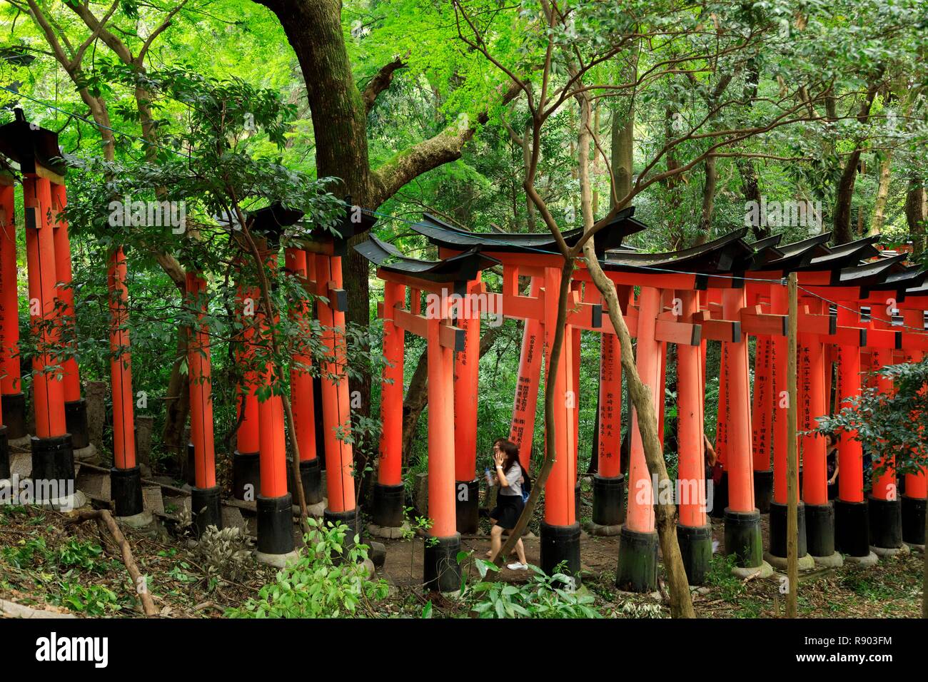 Japan, Honshu Island, Kansai Region, Kyoto, Fushimi-ku District, Shrine ...