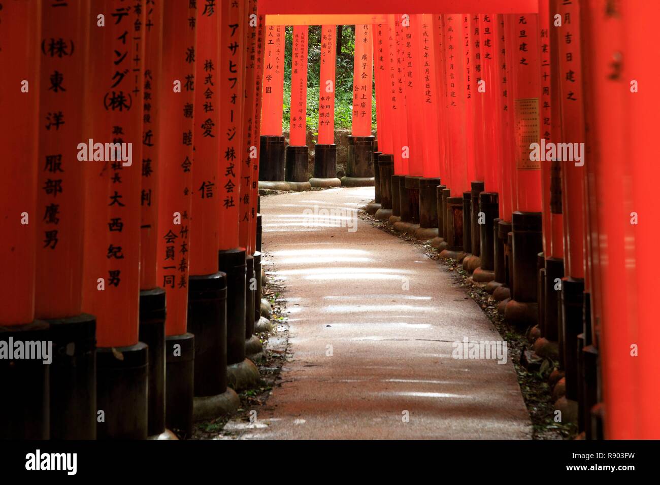 Japan, Honshu Island, Kansai Region, Kyoto, Fushimi-ku District, Shrine ...