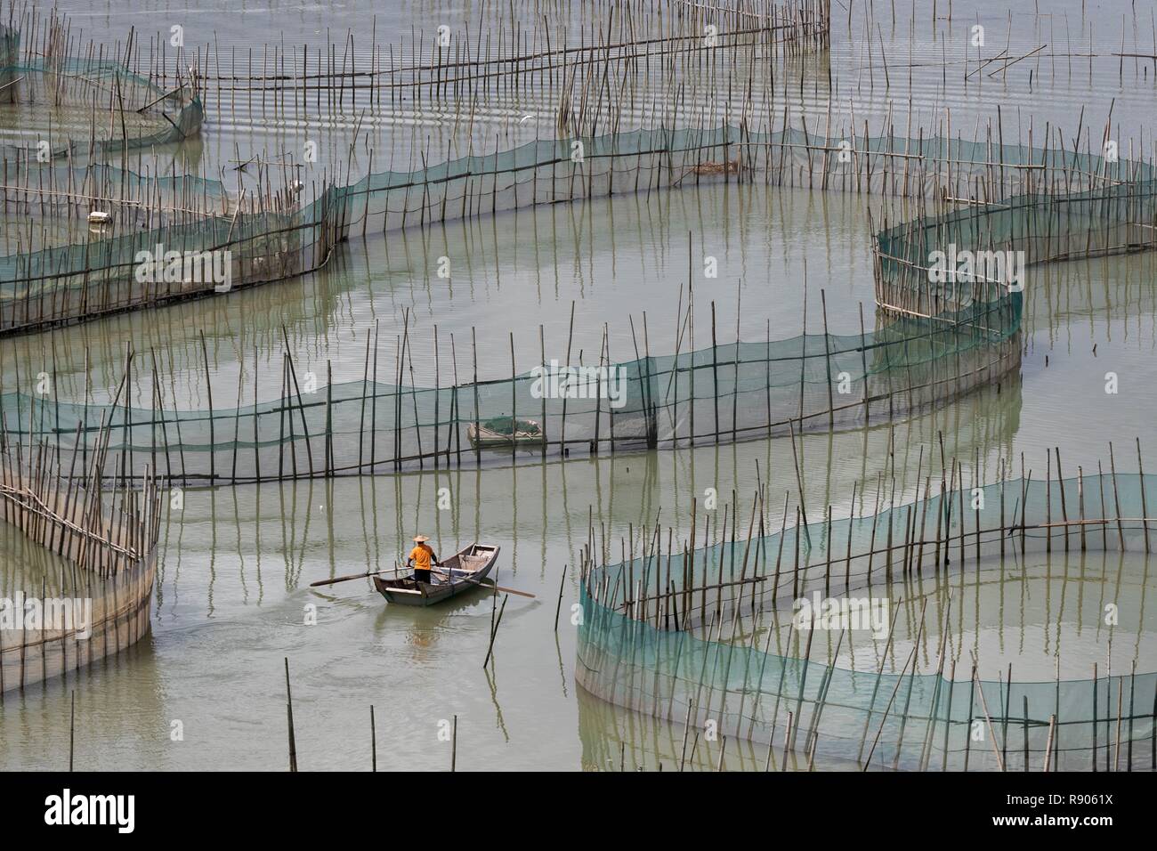 Raising fish hi-res stock photography and images - Alamy