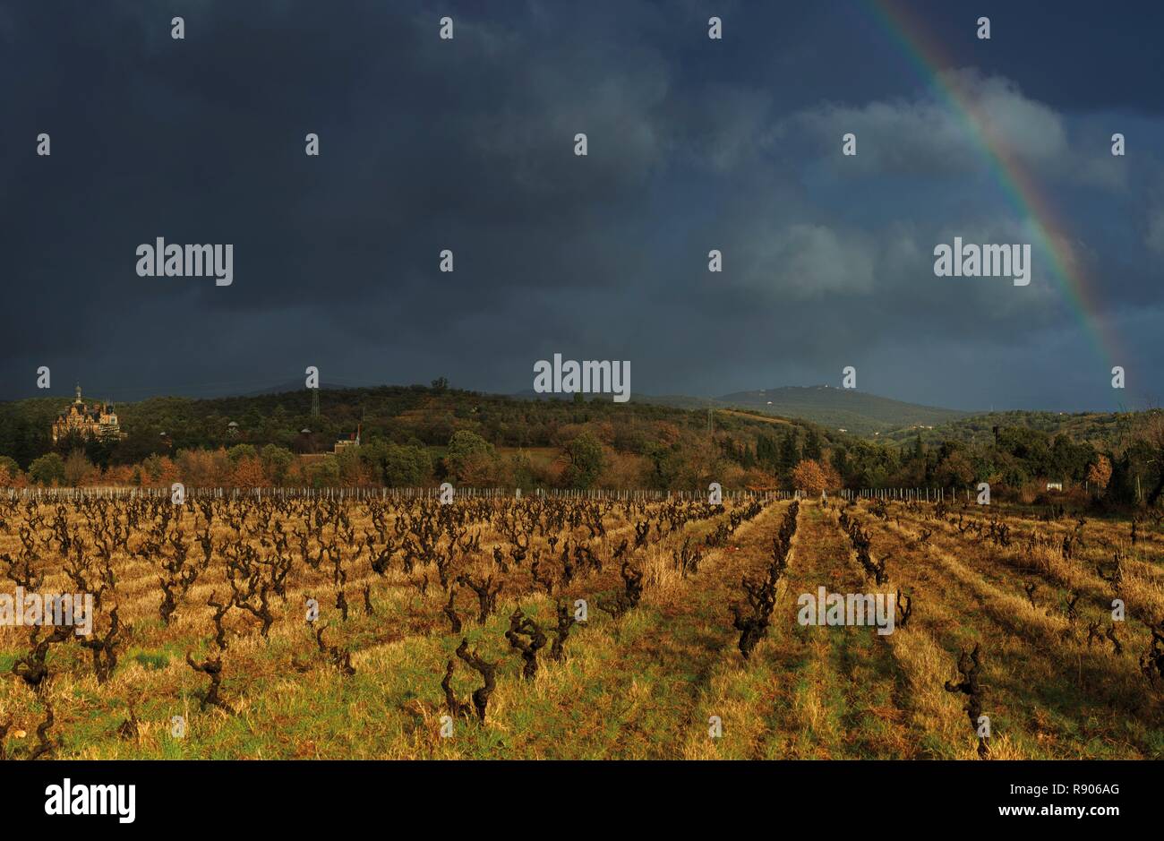 Ceret france castle hi-res stock photography and images - Alamy
