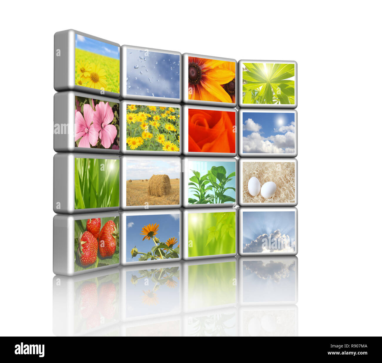 Ornamental grass screen hi-res stock photography and images - Alamy