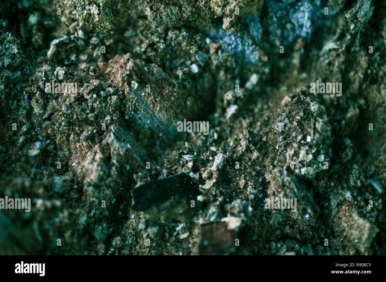 Rough tree trunk hi-res stock photography and images - Alamy