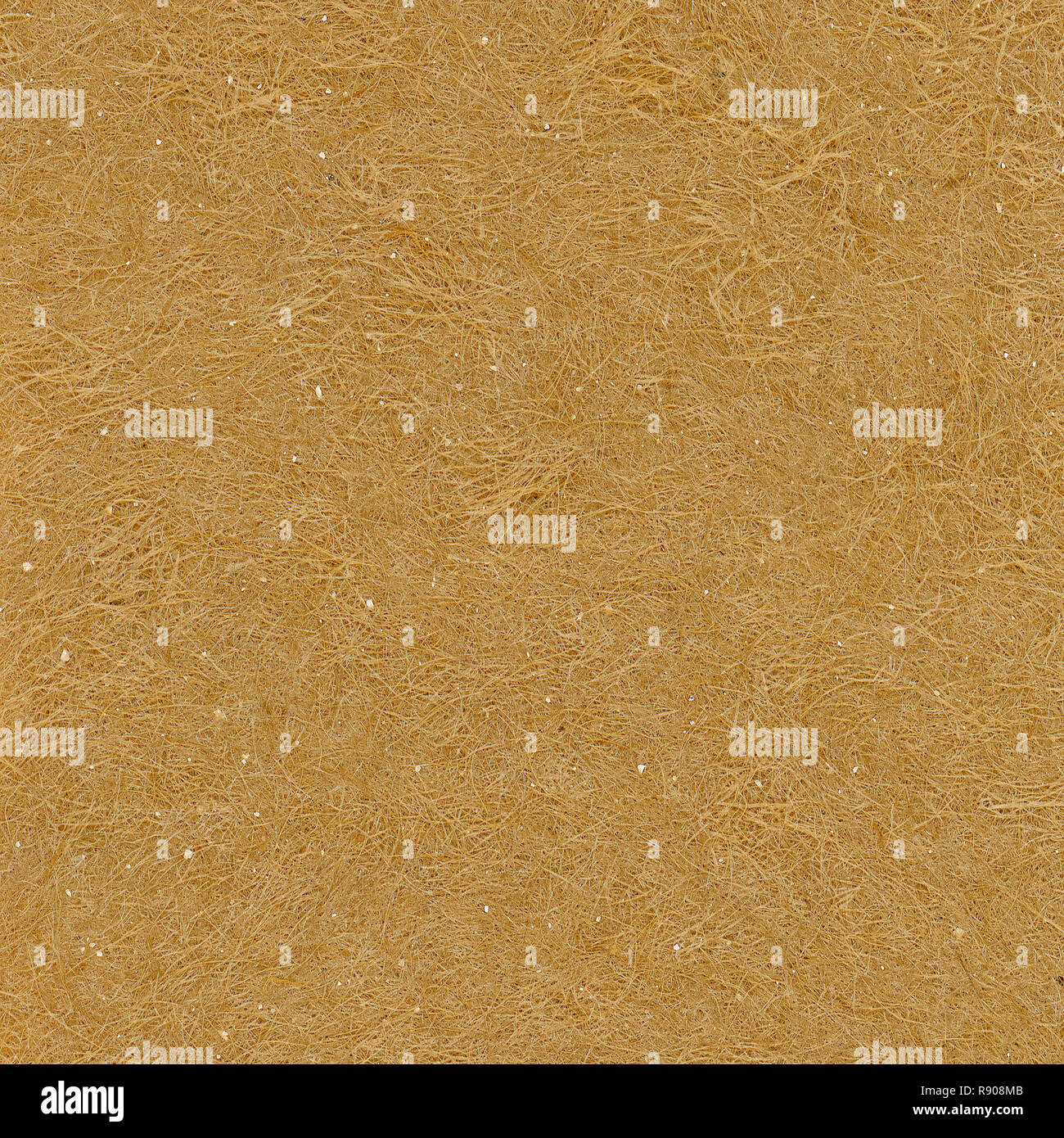 micrograph view of brown cardboard, with fibres of cellulose pulp ...