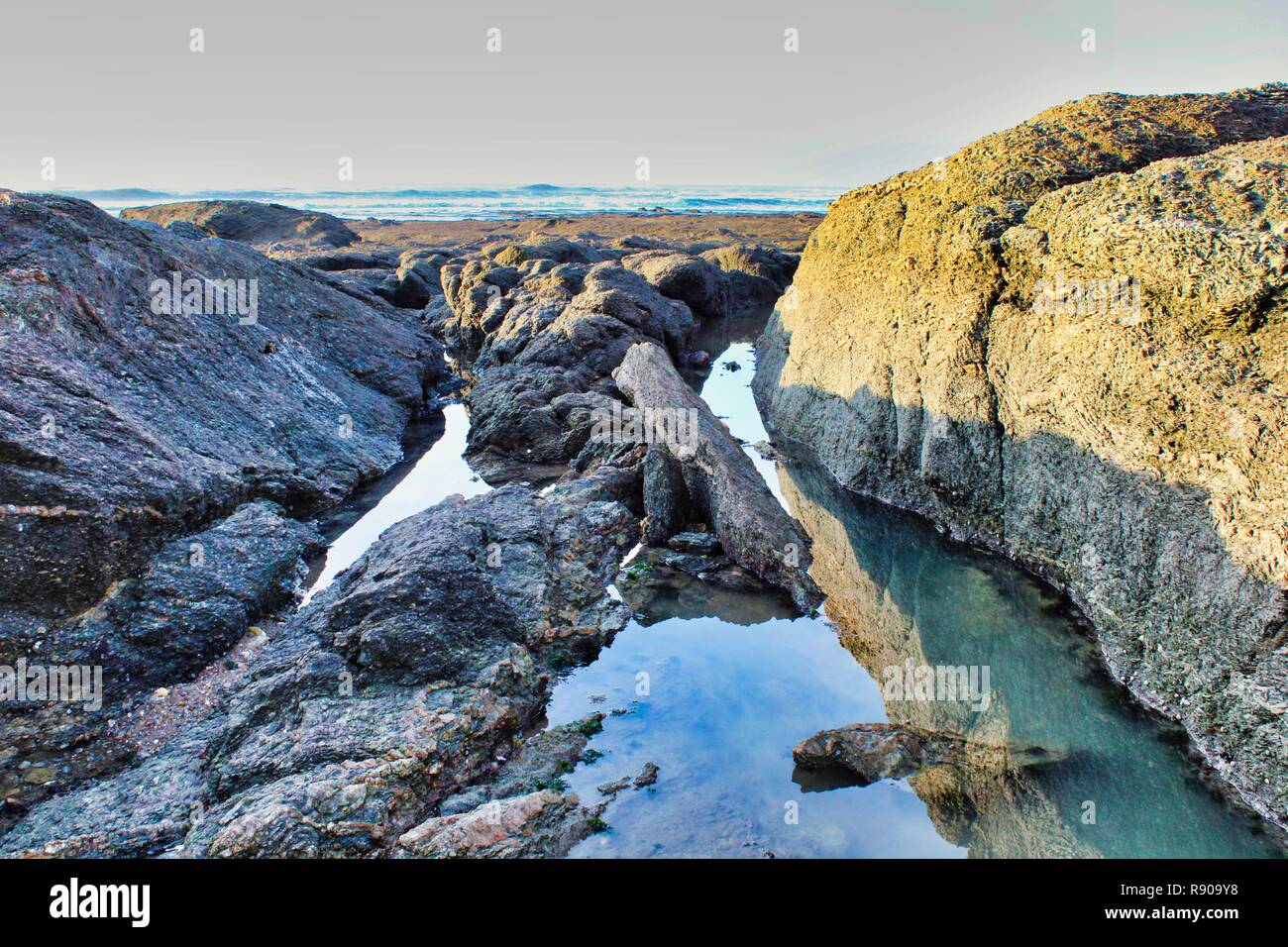 Water side beauty hi-res stock photography and images - Alamy